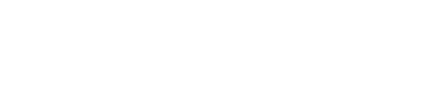 Sacred Heart University Experience Fairfield